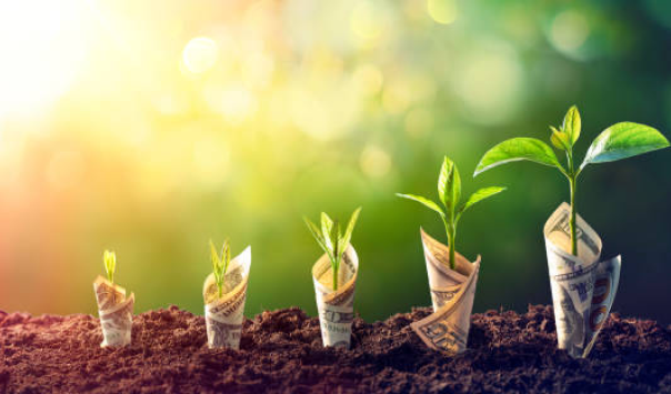 HOW TO: Grow Your Money Faster with a High Yield Savings Account| Lake ...